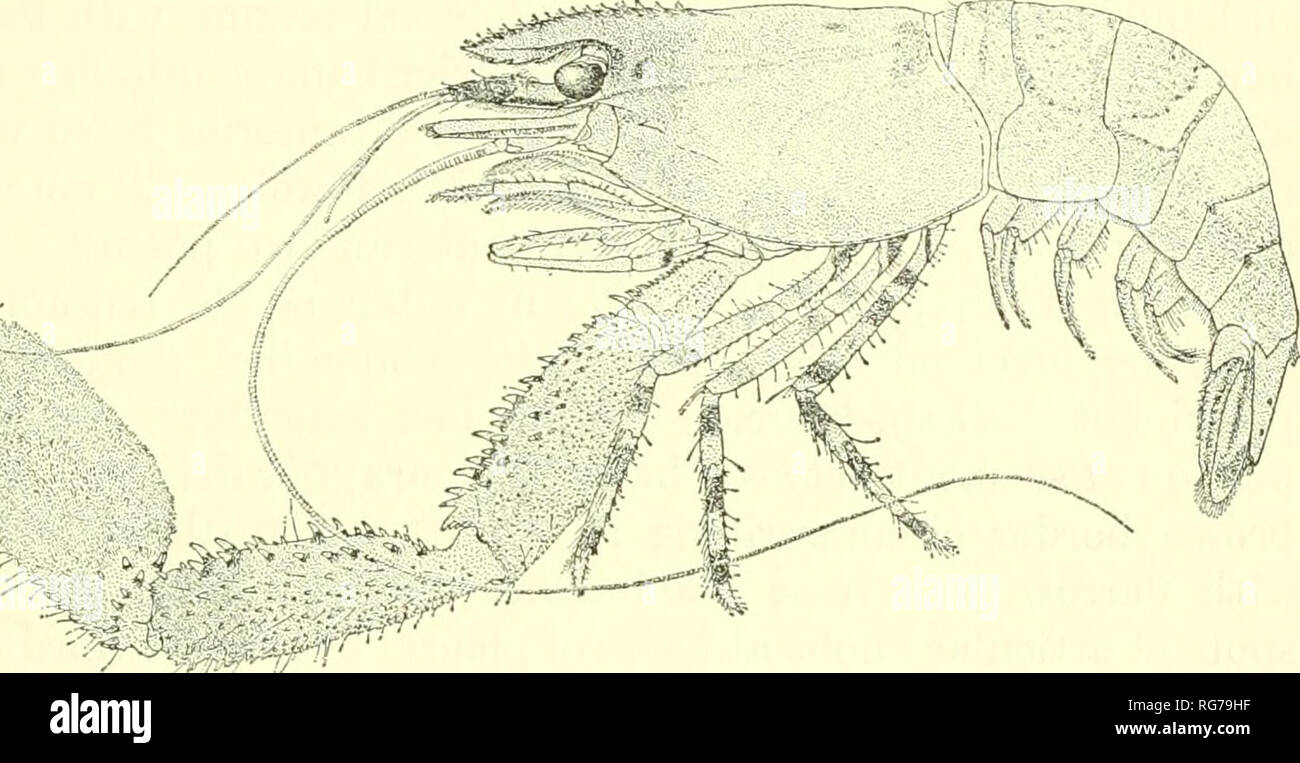 Spaced series 2 hi-res stock photography and images - Alamy