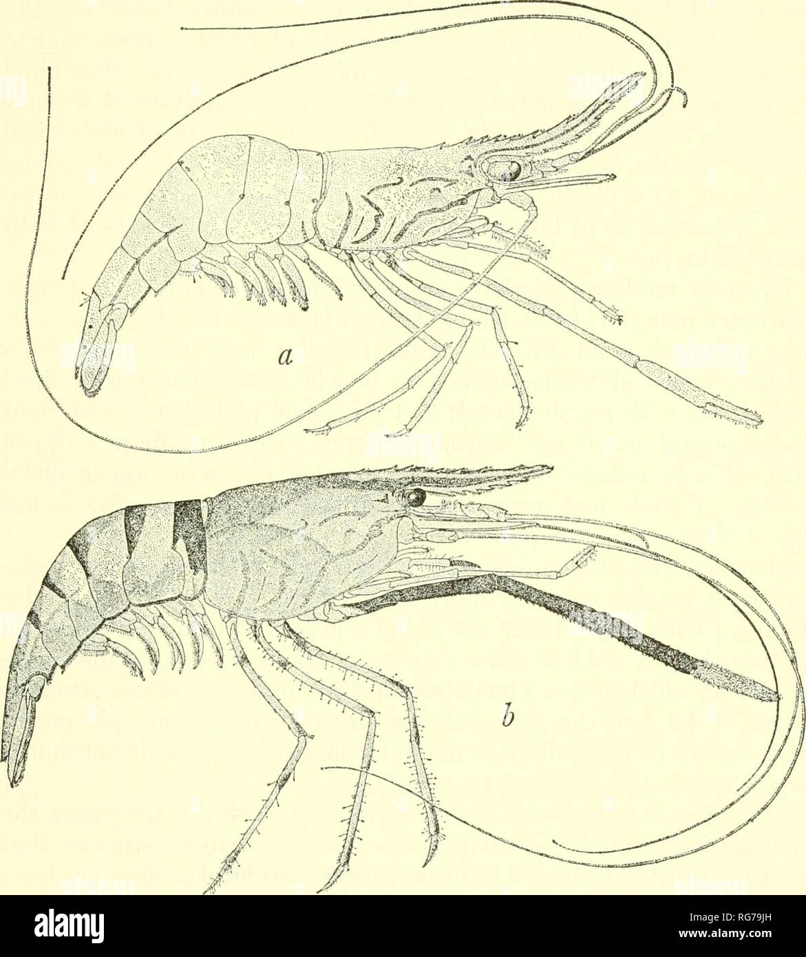 5 rating scale hi-res stock photography and images - Alamy