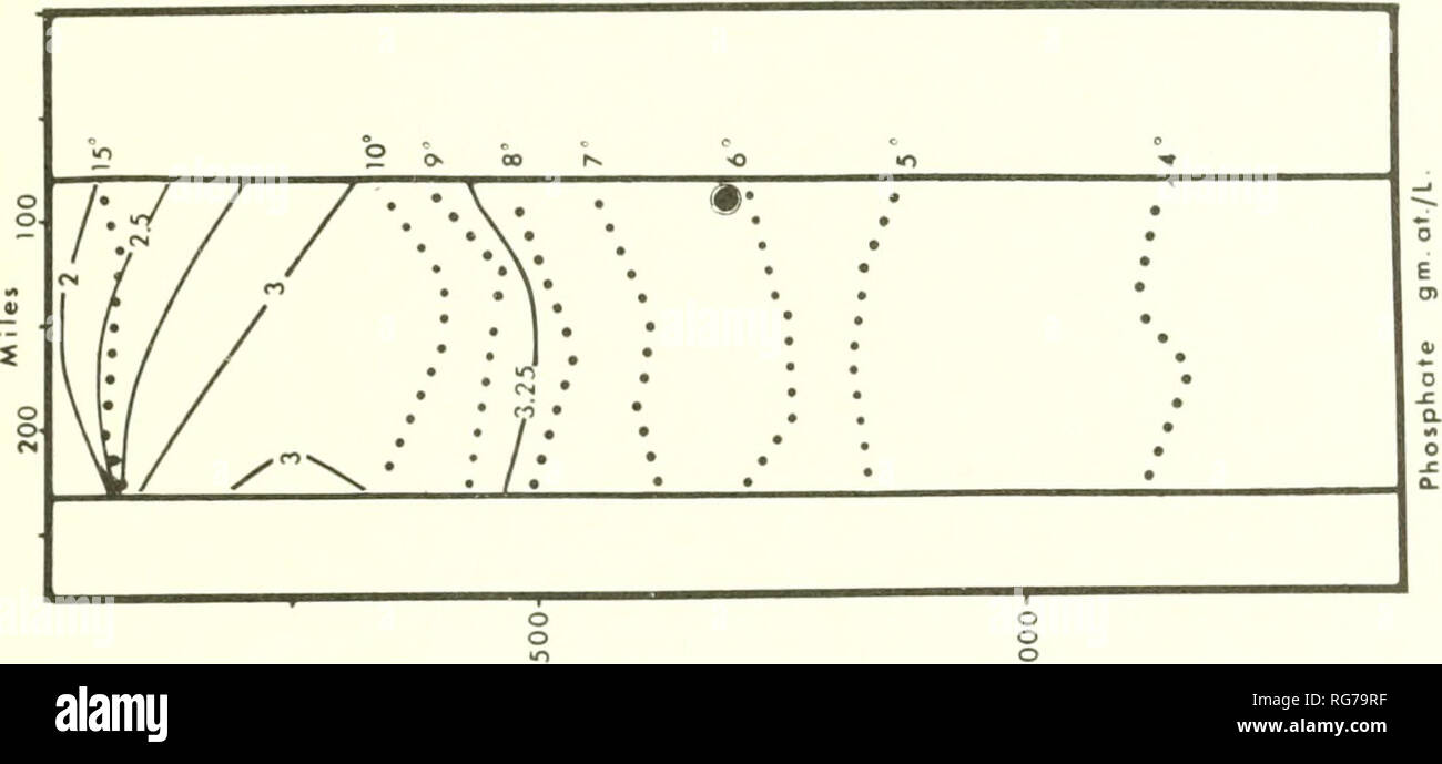 . Bulletin - United States National Museum. Science. BATHYPELAGIC SQUID ...