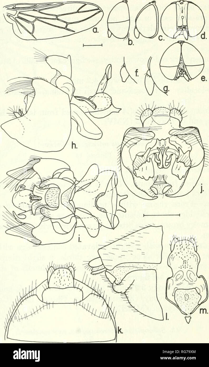 . Bulletin - United States National Museum. Science. 34 U.S. NATIONAL ...