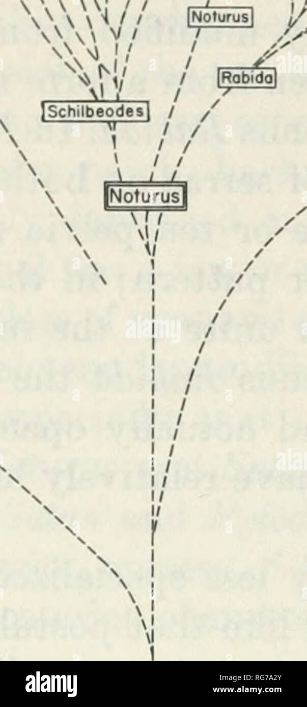 . Bulletin - United States National Museum. Science. V(// ^ fi -si ll ...