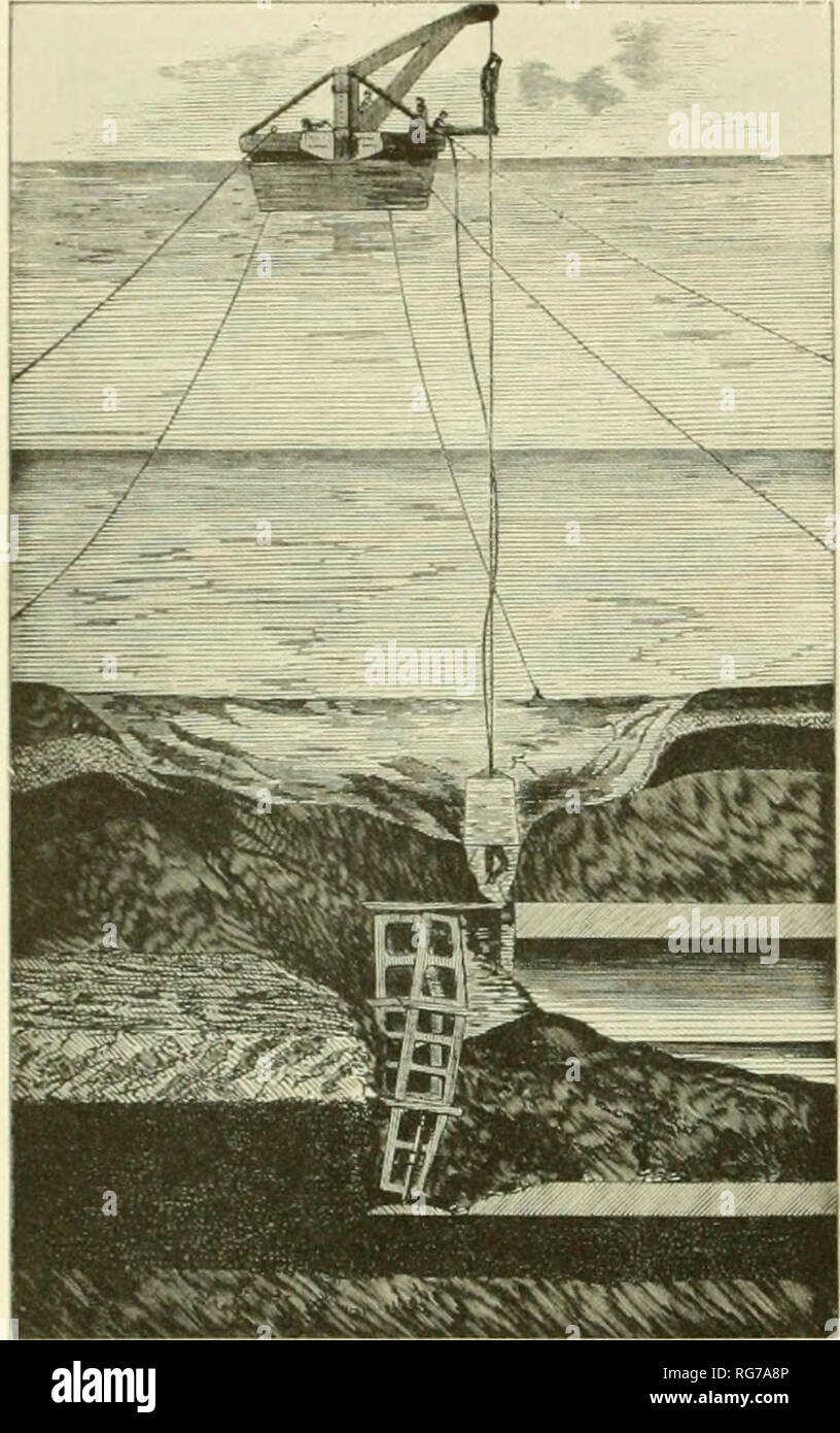 . Bulletin - United States National Museum. Science. Figure 24.—Thames ...