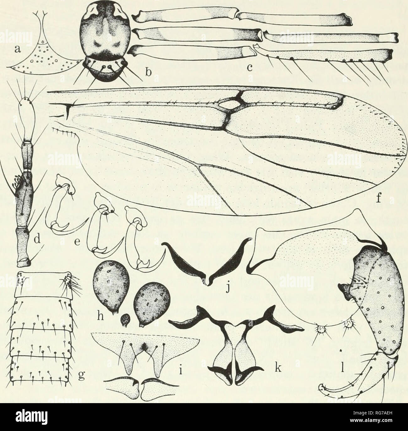 . Bulletin - United States National Museum. Science. 36 U.S. NATIONAL ...