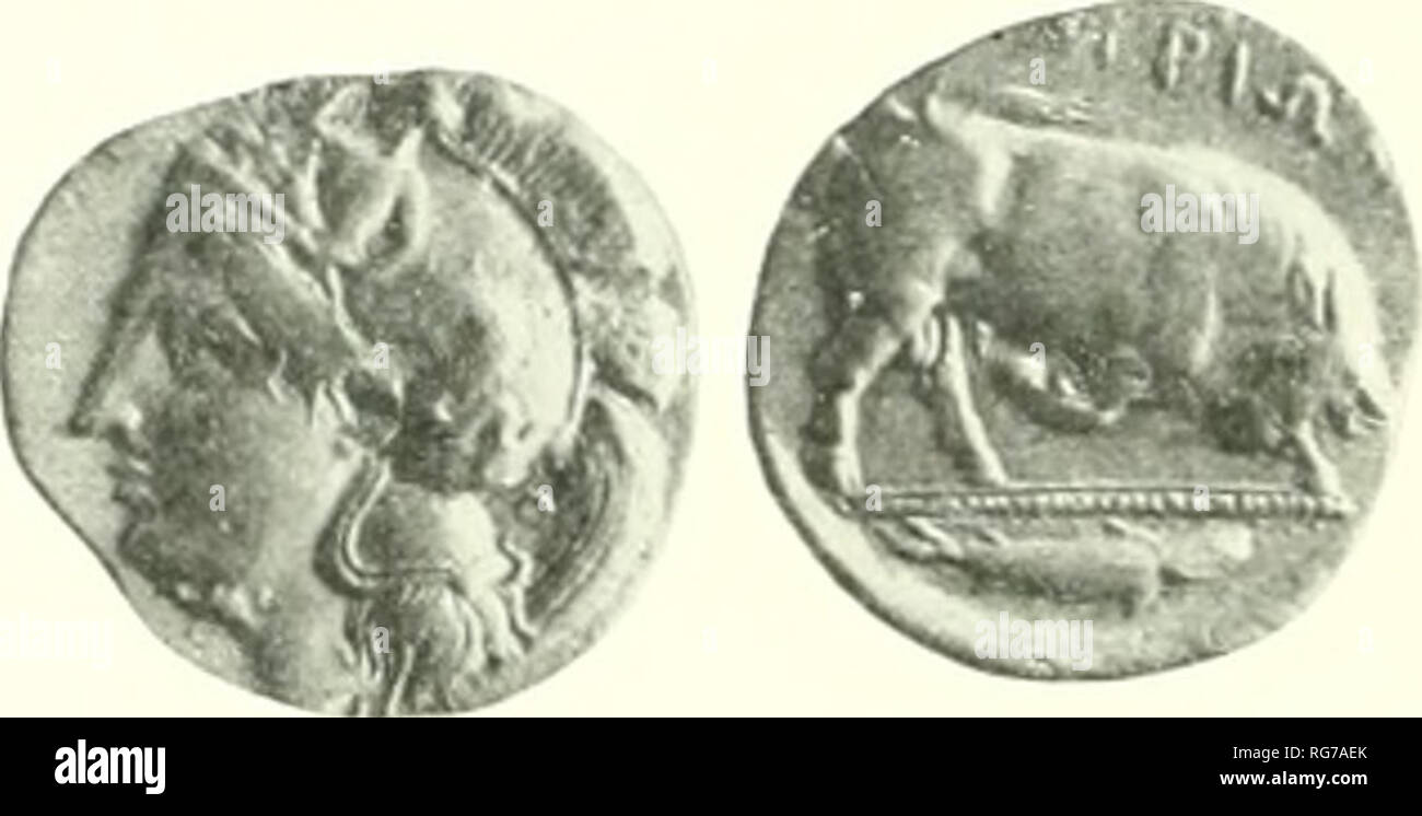 . Bulletin - United States National Museum. Science. Fig. 122.—Alba.nia ...