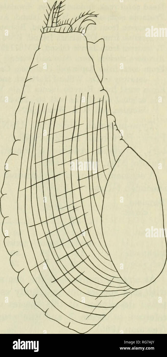 Width 519 mm hi-res stock photography and images - Alamy