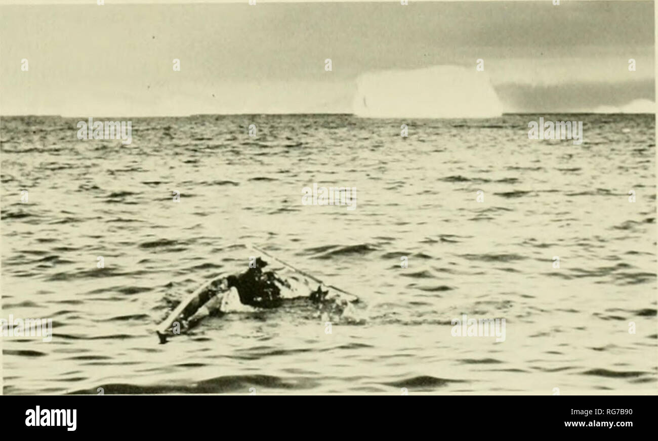 Kenneth Nielsen High Resolution Stock Photography and Images - Alamy