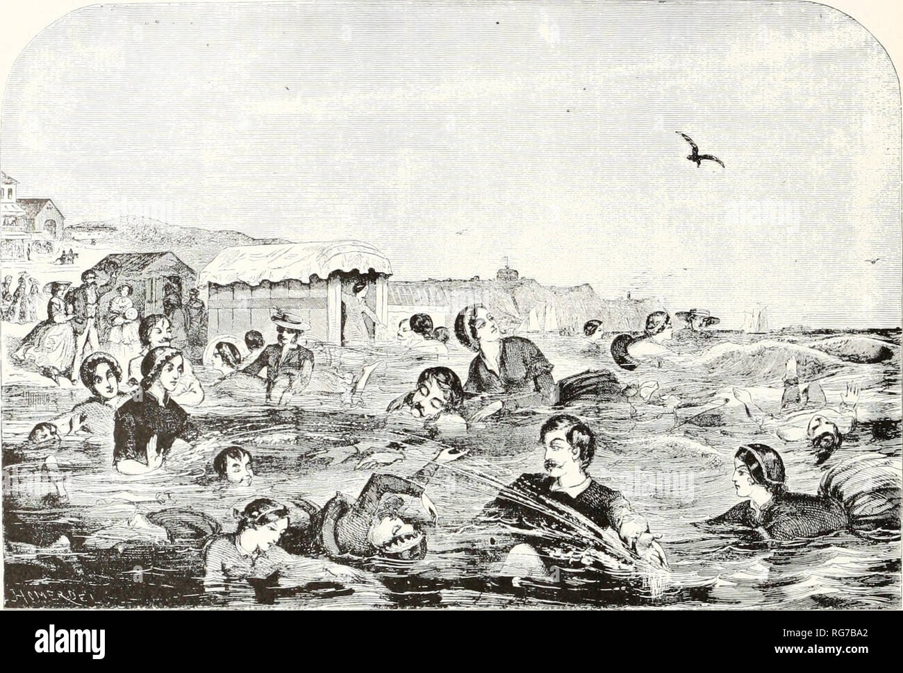 . Bulletin - United States National Museum. Science. 3ure 4.—"The Bathe ...