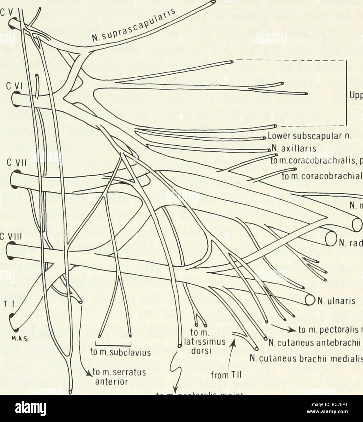 . Bulletin - United States National Museum. Science. 78 U.S. NATIONAL ...