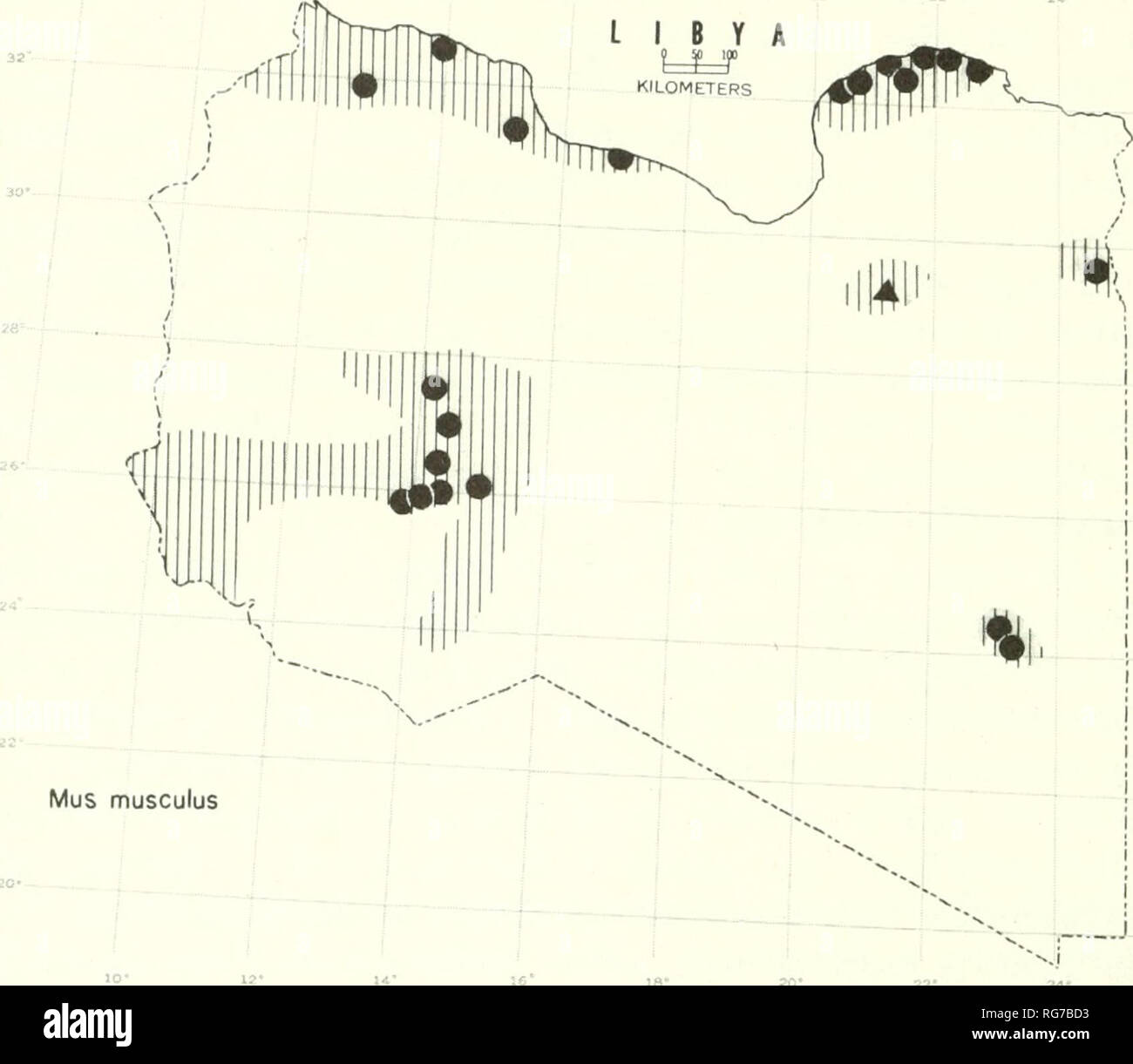 . Bulletin - United States National Museum. Science. 204 U.S. NATIONAL ...