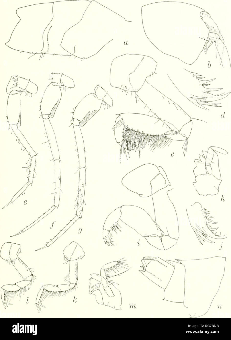 Pulled arrow hi-res stock photography and images - Alamy