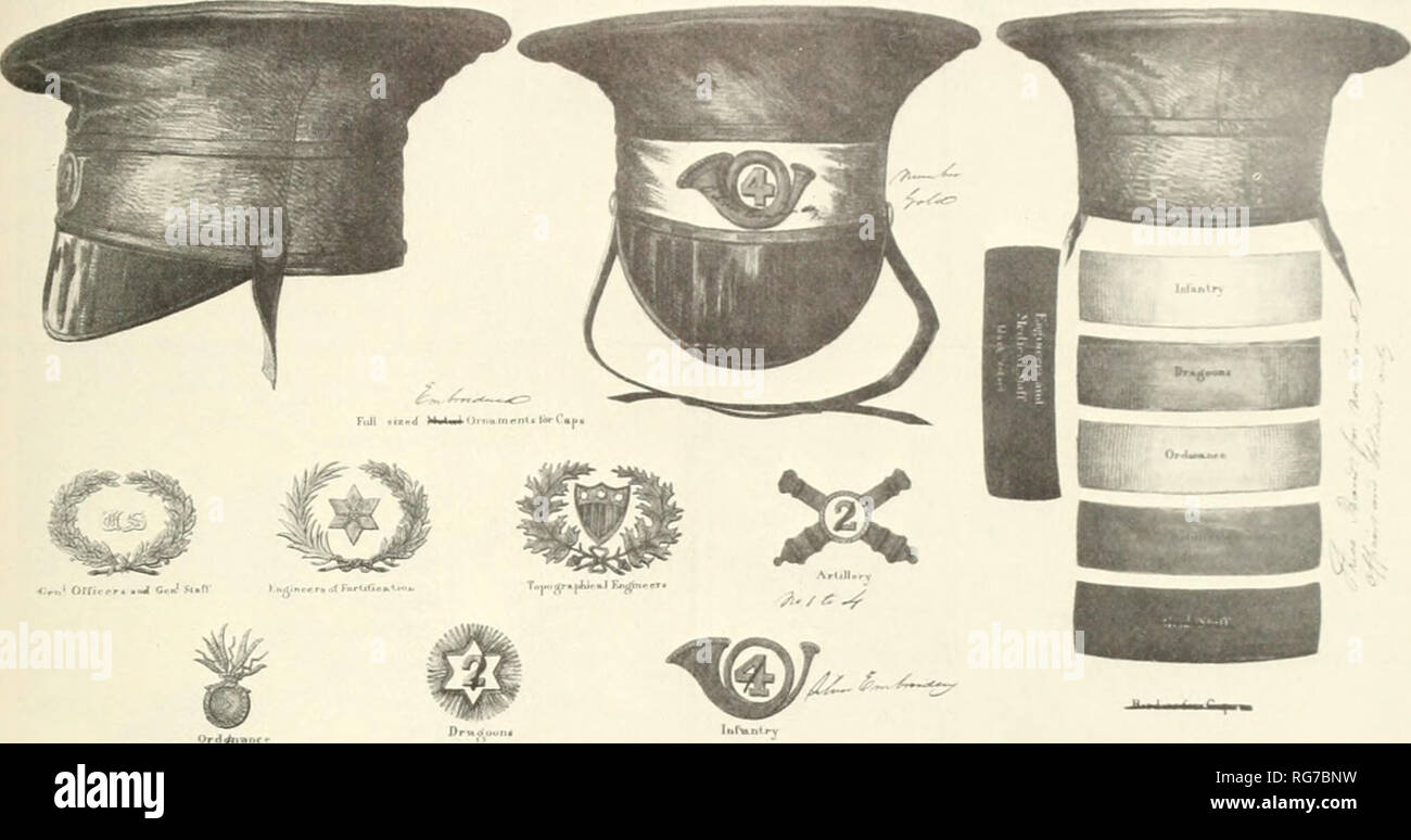 . Bulletin - United States National Museum. Science. OrdAii ,^/e i ...