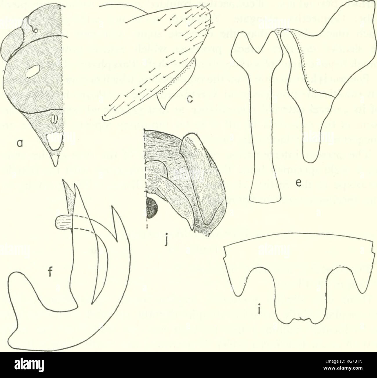 . Bulletin - United States National Museum. Science. 86 U.S. NATIONAL ...