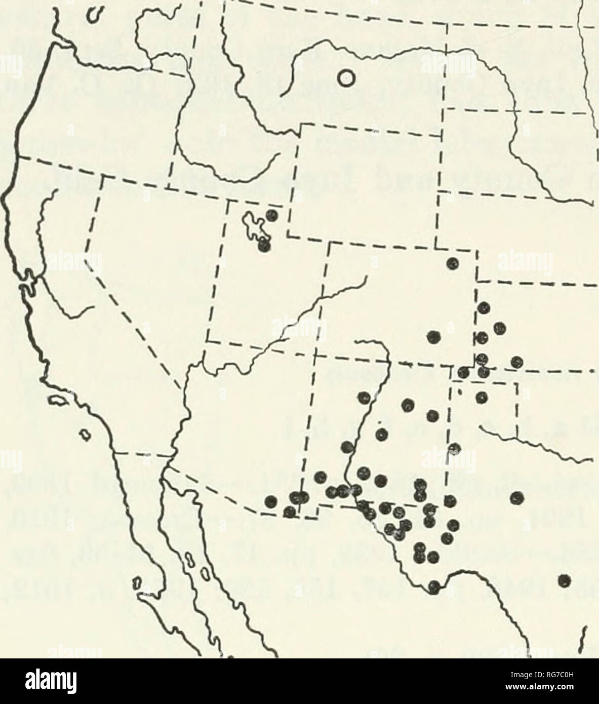 Buddleja polystachya hi-res stock photography and images - Alamy
