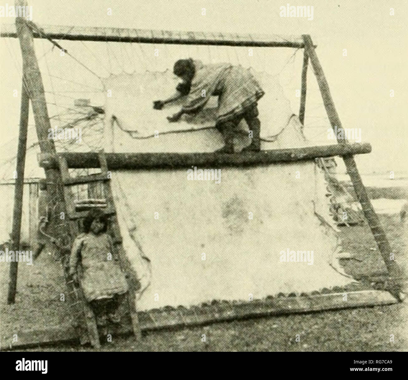 . Bulletin - United States National Museum. Science. Repairing Umiak ...