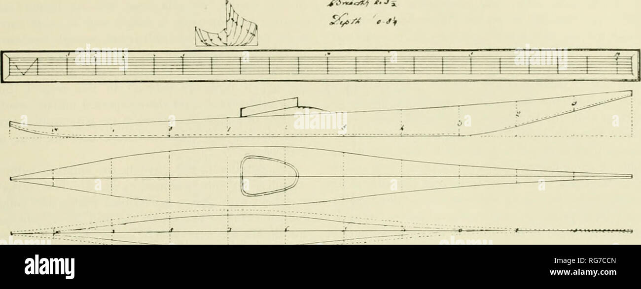 . Bulletin - United States National Museum. Science. -/"/-. Eighteenth ...