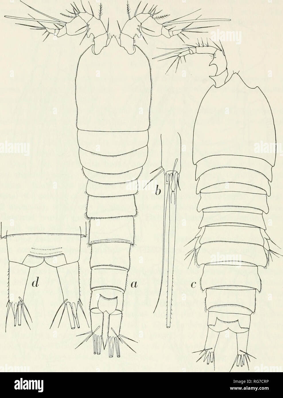 . Bulletin - United States National Museum. Science. 340 U.S. NATIONAL ...