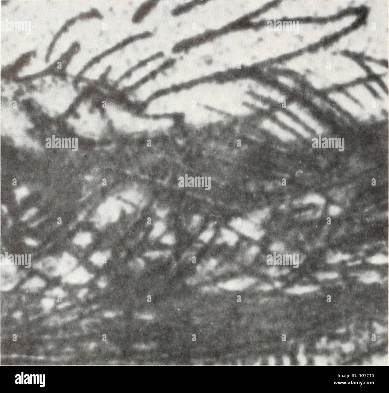 . Bulletin - United States National Museum. Science. When the needle is ...