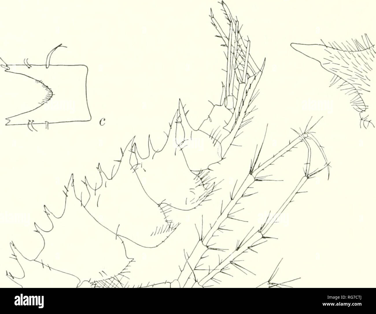 . Bulletin - United States National Museum. Science. 32 U.S. NATIONAL ...