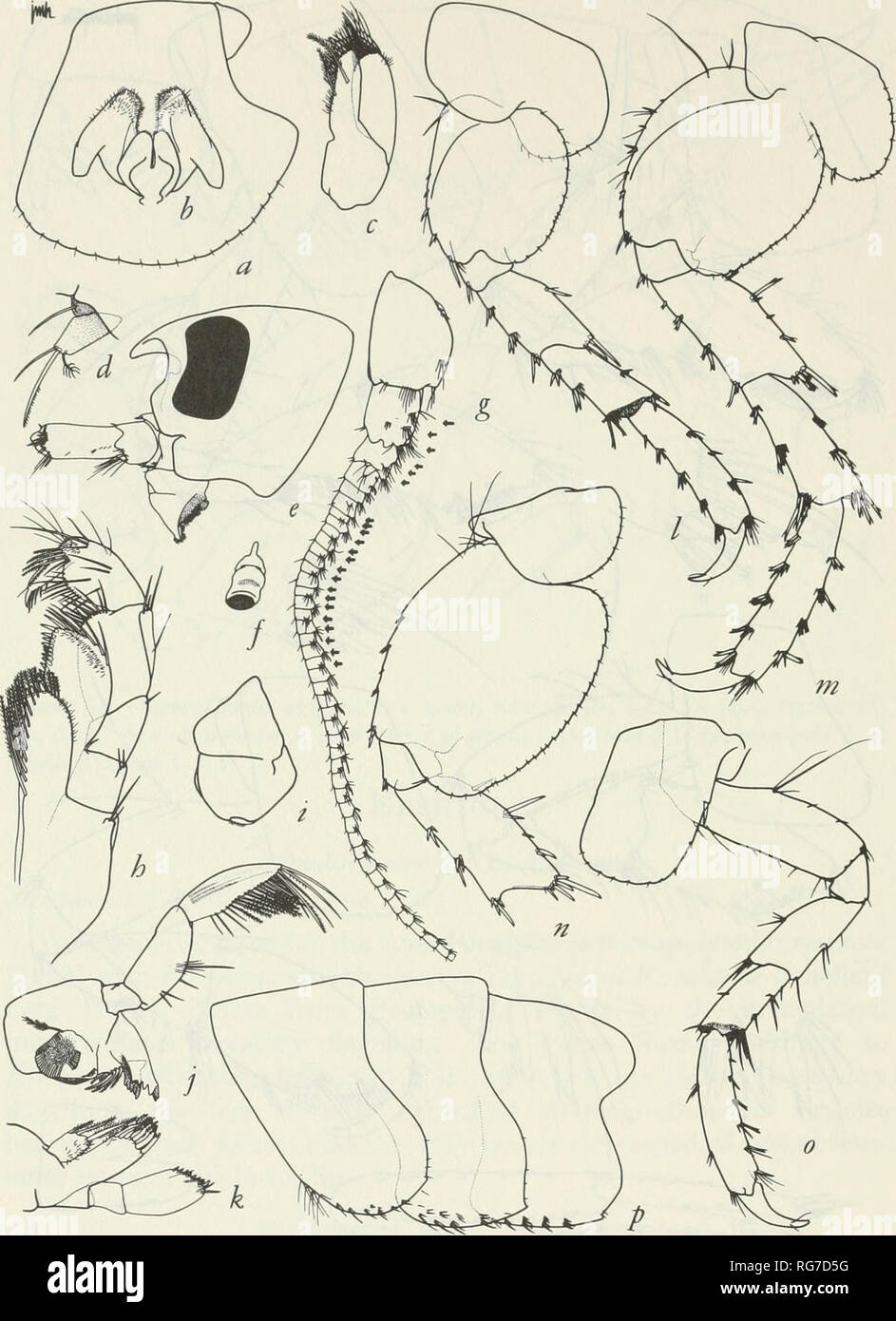 . Bulletin - United States National Museum. Science. 108 U.S. NATIONAL ...