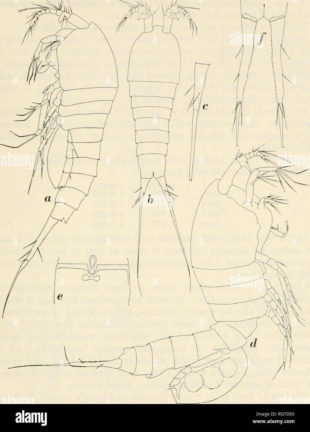 . Bulletin - United States National Museum. Science. COPEPODA FROM ...
