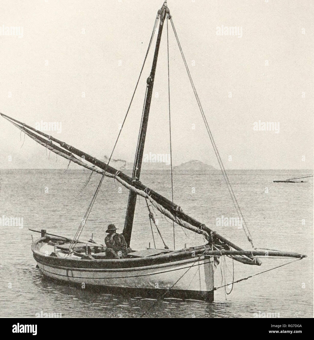 . Bulletin - United States National Museum. Science. Small San ...