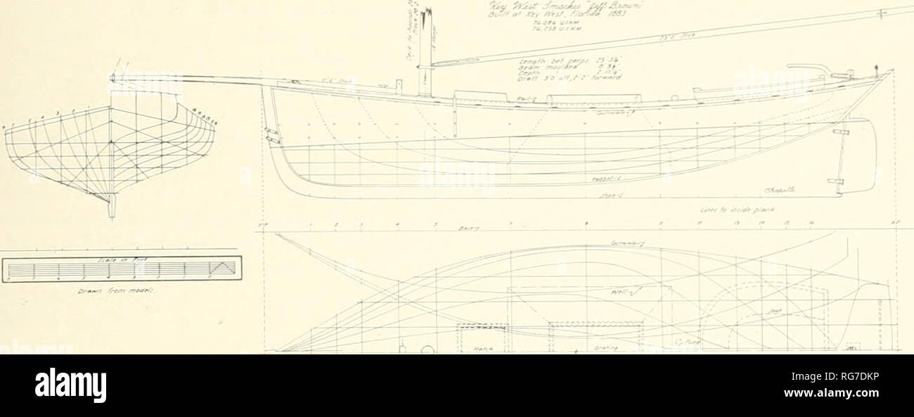 . Bulletin - United States National Museum. Science. £^ .a,«M3-!i ...