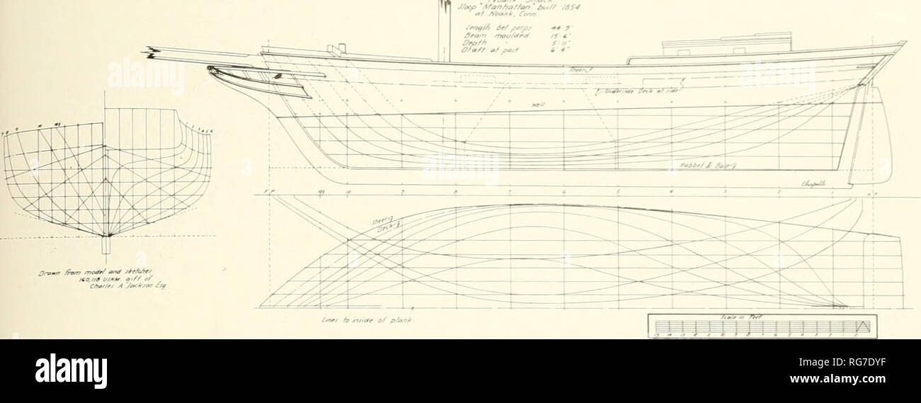 . Bulletin - United States National Museum. Science. "^mf /May,*, r ...