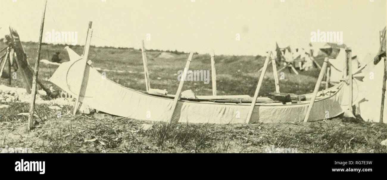 . Bulletin - United States National Museum. Science. MoNTAGNAis Can vAS ...