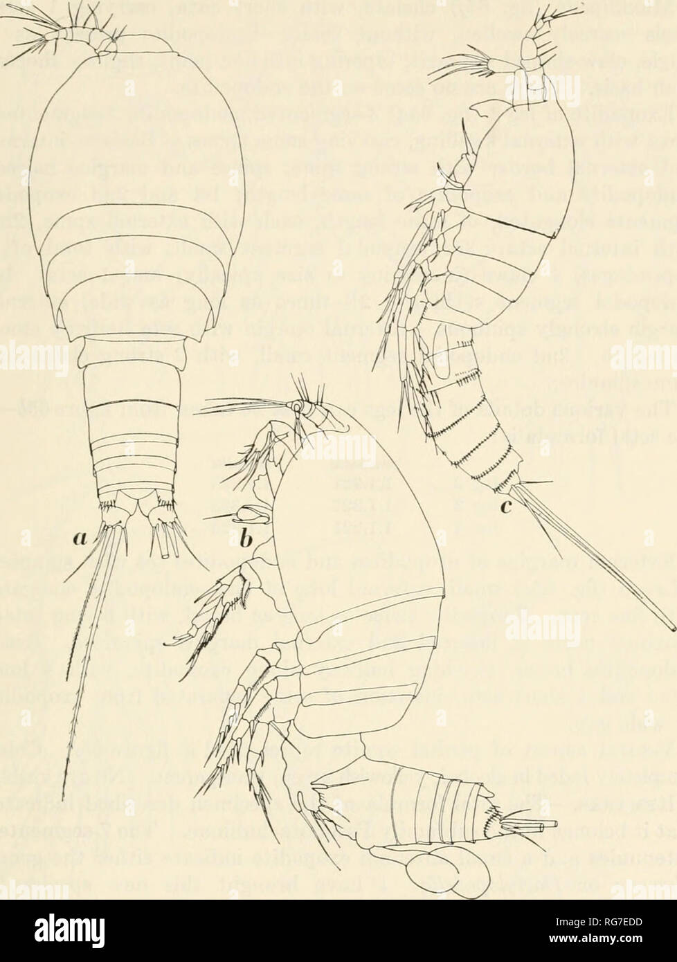 . Bulletin - United States National Museum. Science. COPEPODA FROM ...