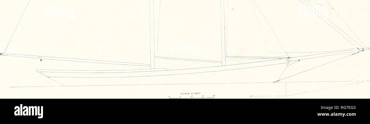 34 38 model from the hi-res stock photography and images - Alamy