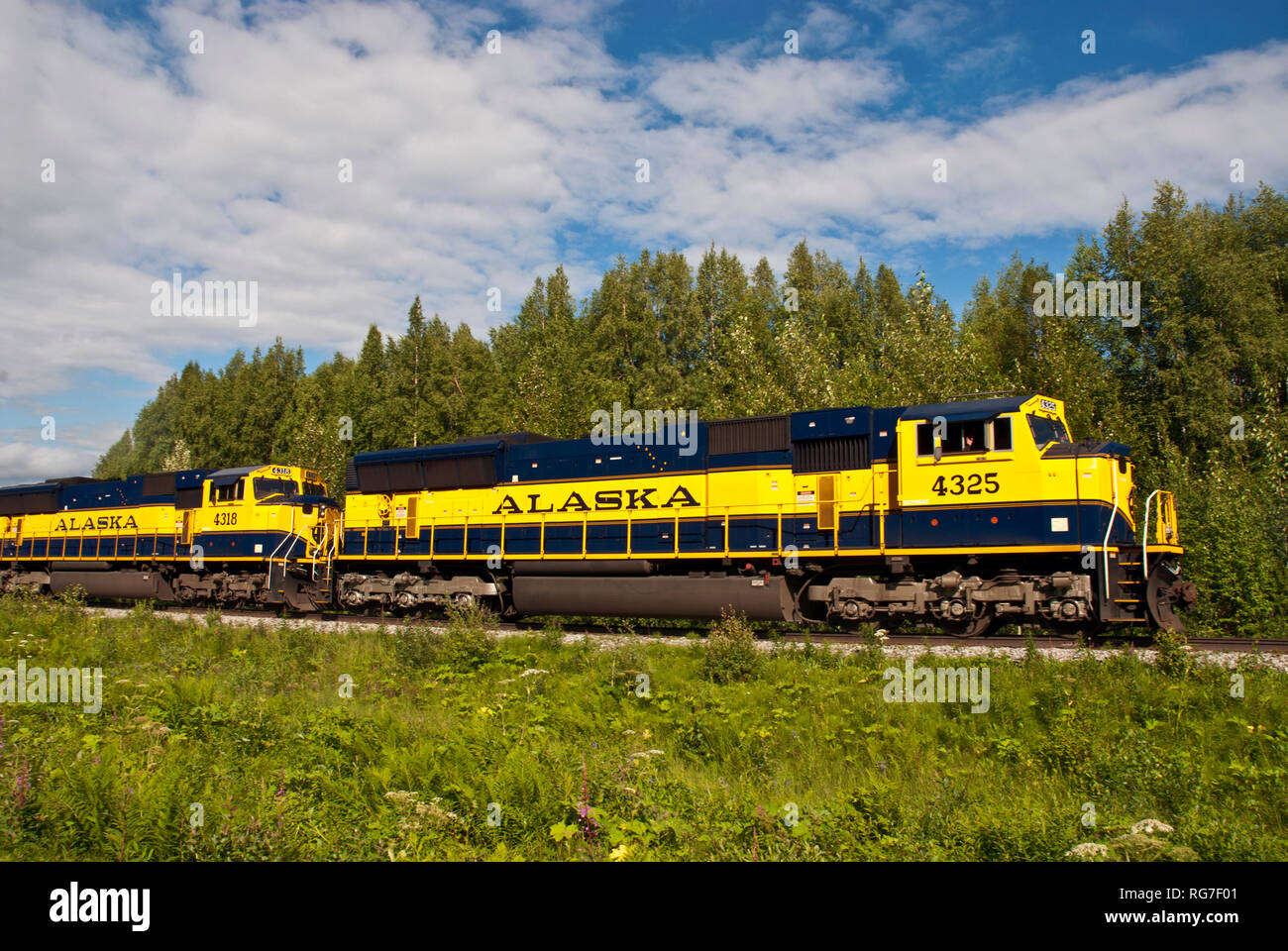 Alaskan train on the move Stock Photo - Alamy