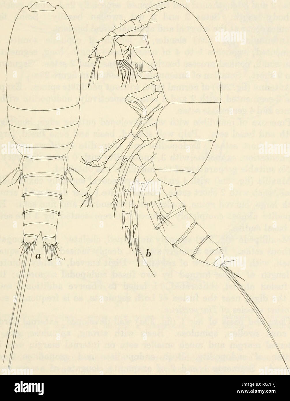 . Bulletin - United States National Museum. Science. COPEPODA FROM ...