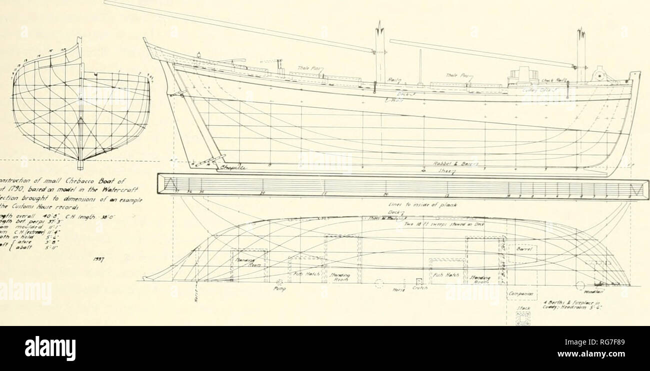 . Bulletin - United States National Museum. Science. .»»/"/I. Co//et ...