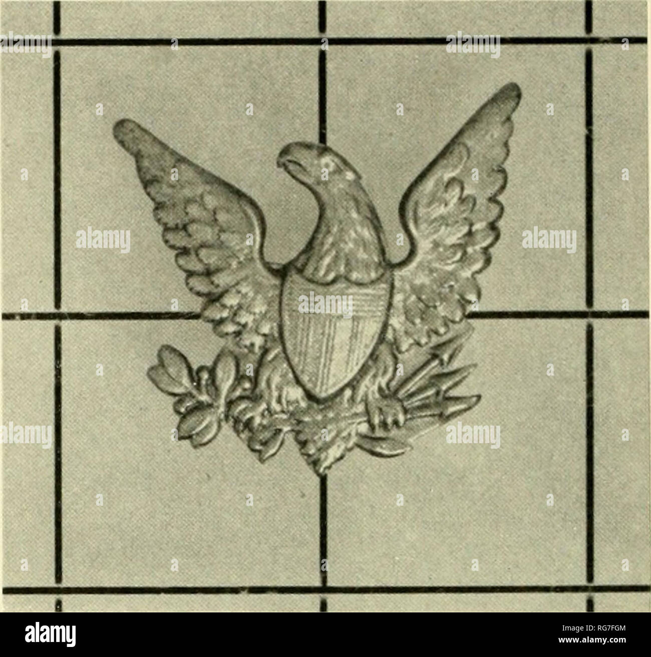 . Bulletin - United States National Museum. Science. Figure 32 ...