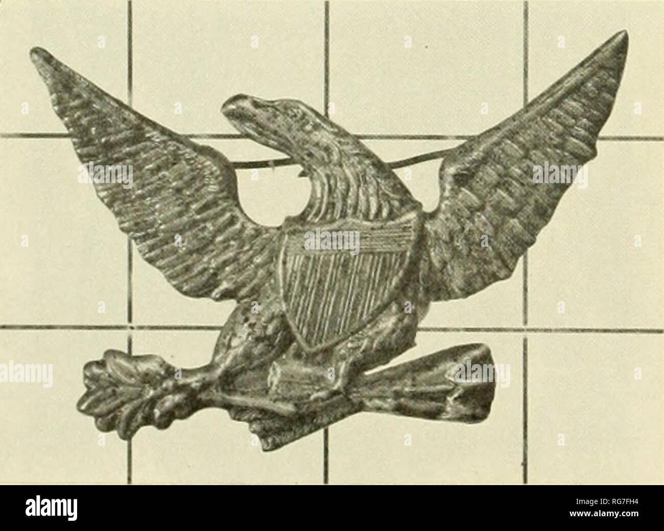 . Bulletin - United States National Museum. Science. the sersice. The ...