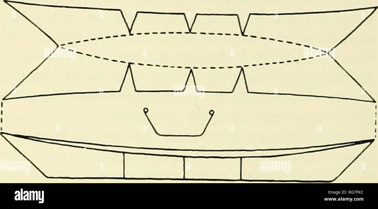 . Bulletin - United States National Museum. Science. Figure 22 Canoe ...