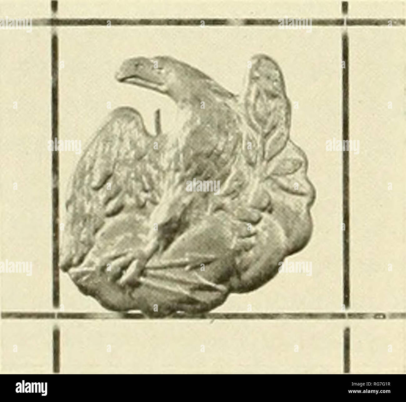 . Bulletin - United States National Museum. Science. Figure 4 COCKADE ...