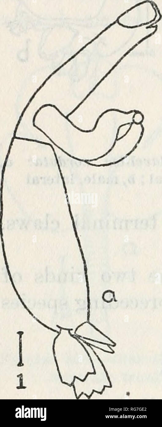 Truncated conical body hi-res stock photography and images - Alamy