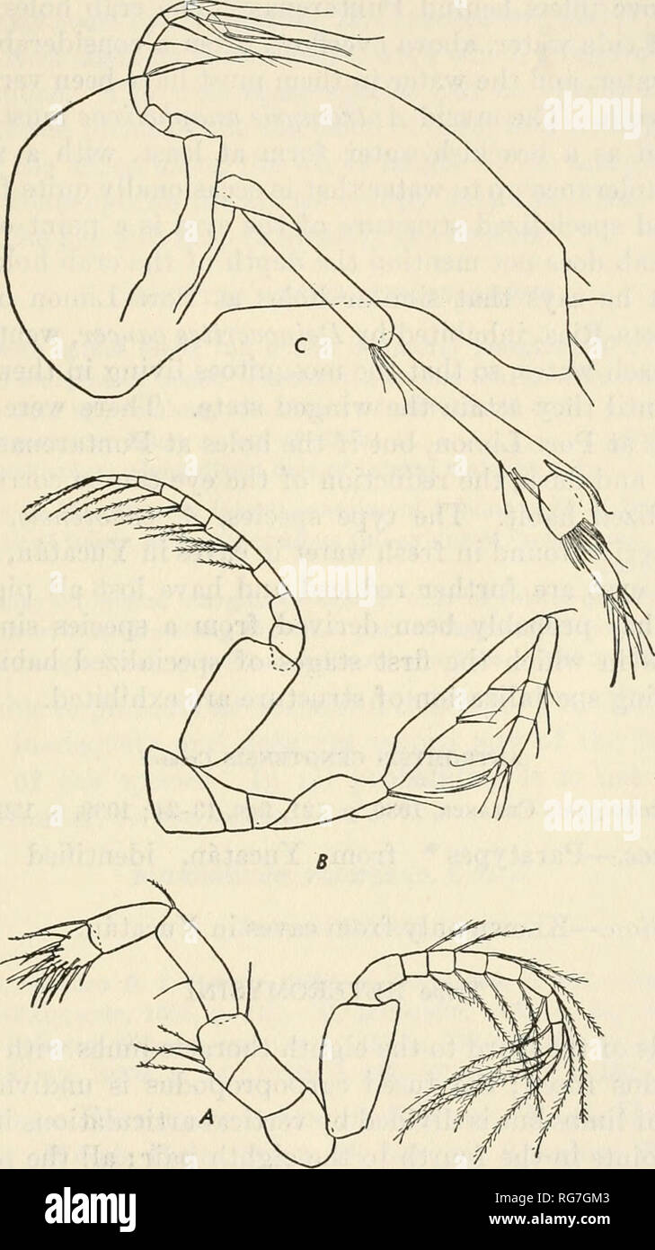 . Bulletin - United States National Museum. Science. A REVIEW OF THE ...