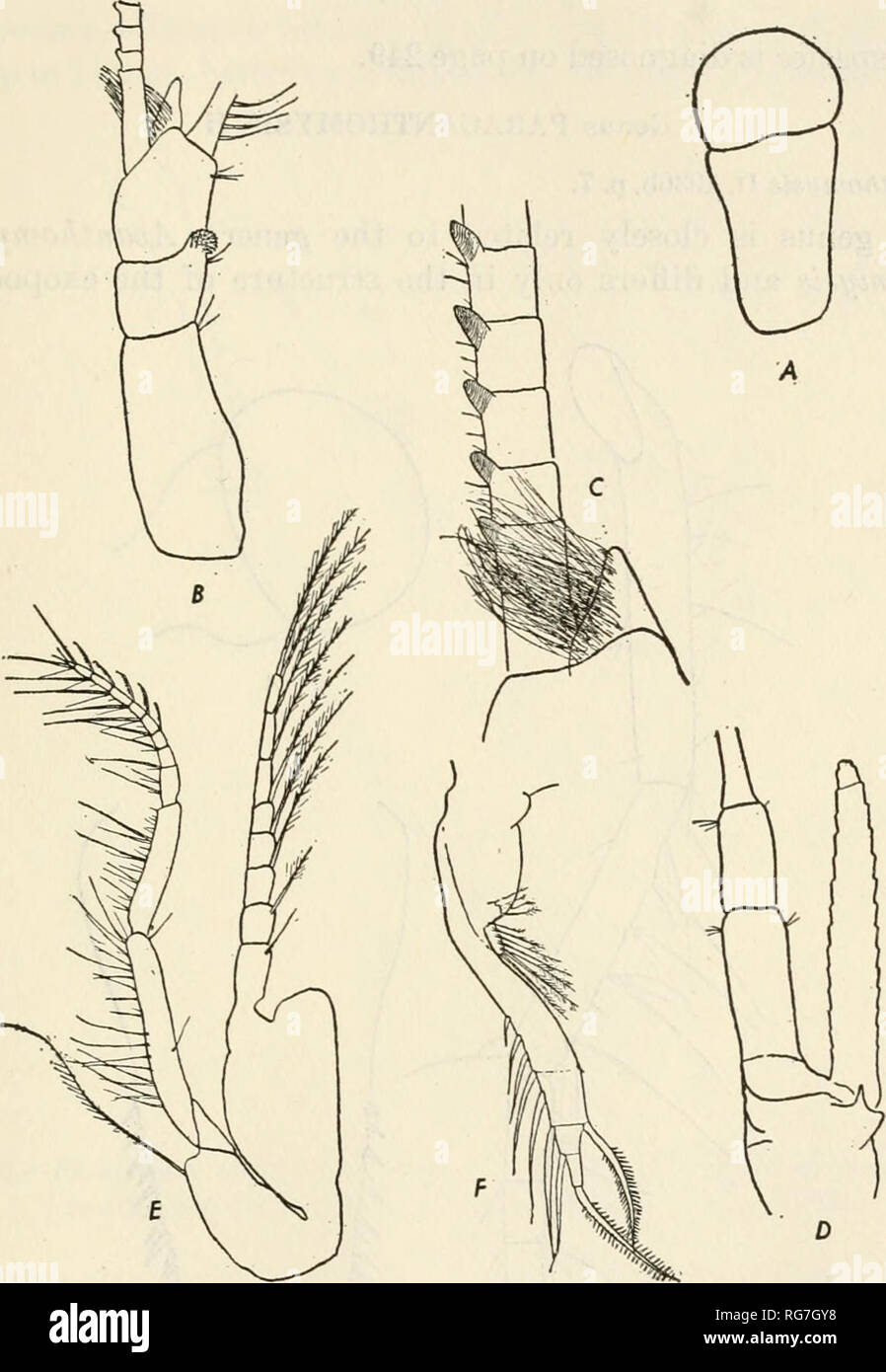 . Bulletin - United States National Museum. Science. A REVIEW OF THE ...