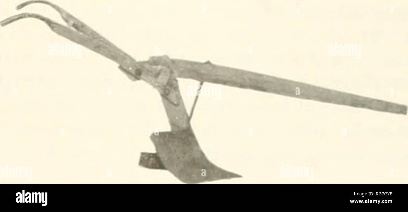 . Bulletin - United States National Museum. Science. Figure 3 ...