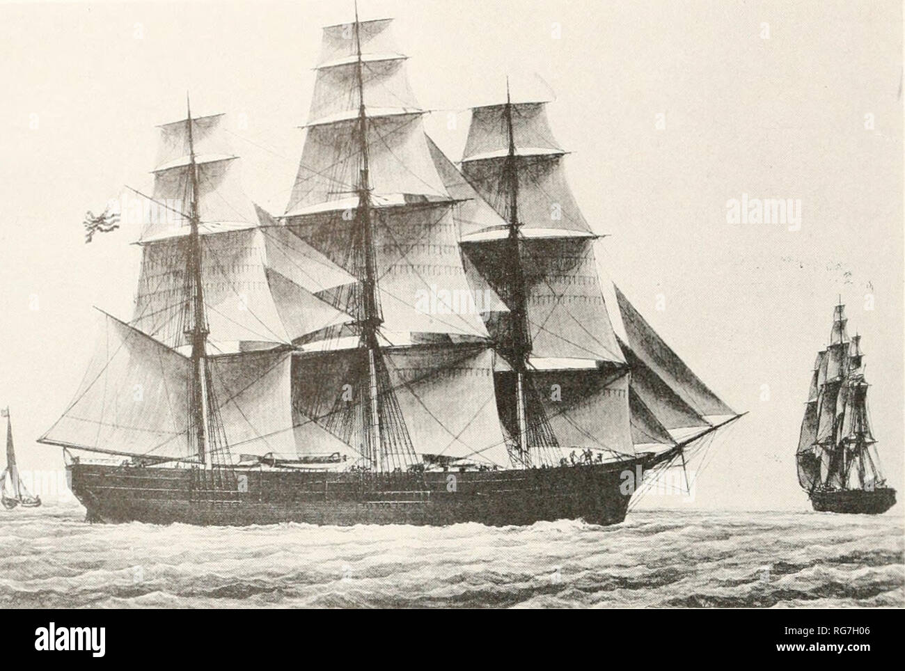 . Bulletin - United States National Museum. Science. 1880's when the ...