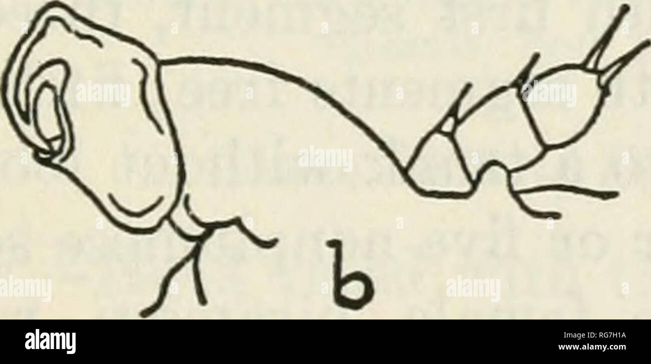 . Bulletin - United States National Museum. Science. FiGDEB 289 ...
