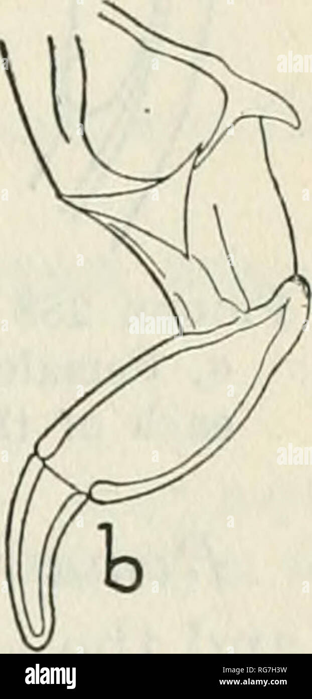 . Bulletin - United States National Museum. Science. COPEPODS OF THE ...