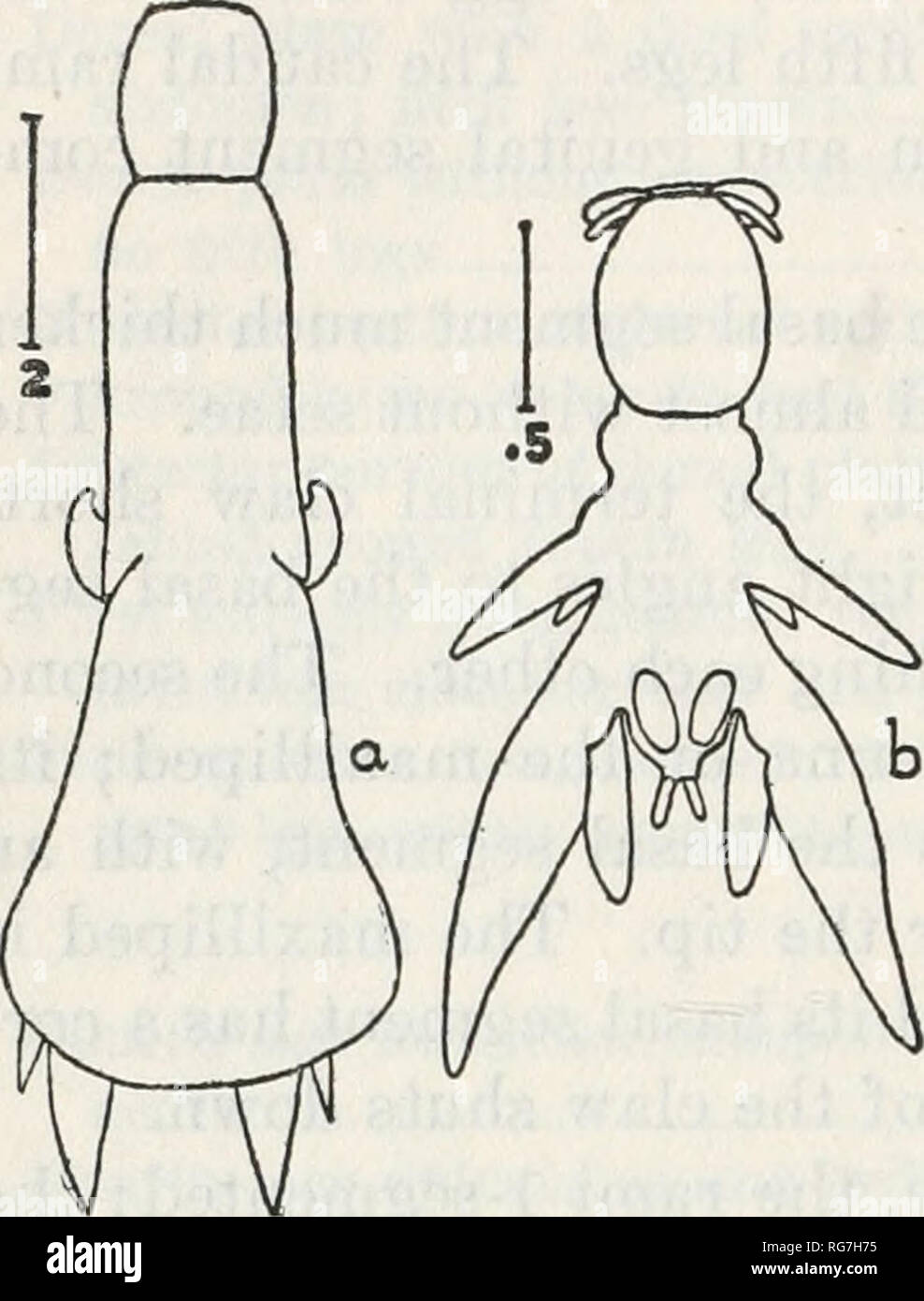 . Bulletin - United States National Museum. Science. 450 BULLETIIT 15 8 ...