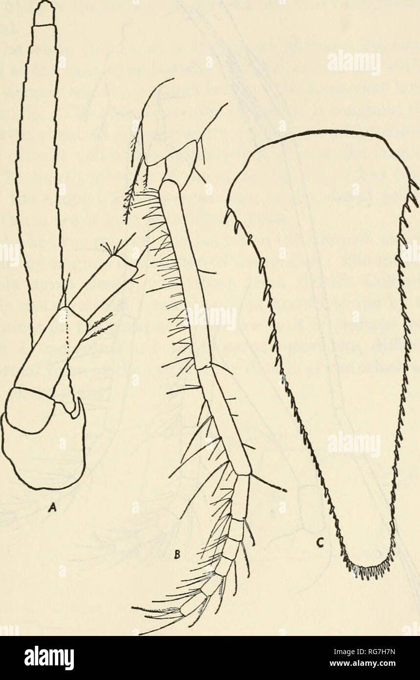 Fading ridges hi-res stock photography and images - Alamy