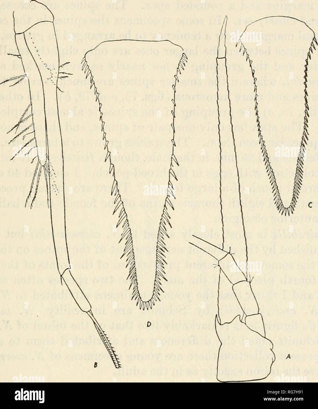 . Bulletin - United States National Museum. Science. A REVIEW OF THE ...