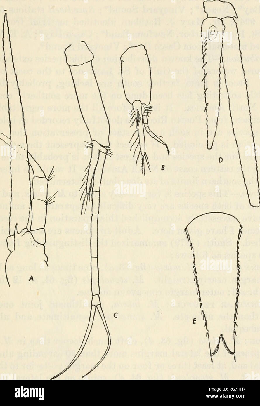. Bulletin - United States National Museum. Science. A REVIEW OF THE ...
