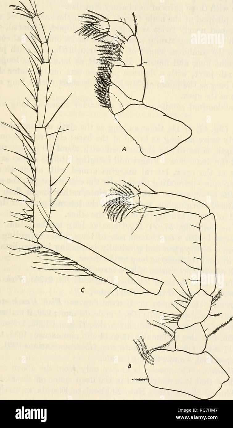 . Bulletin - United States National Museum. Science. A REVIEW OF THE ...
