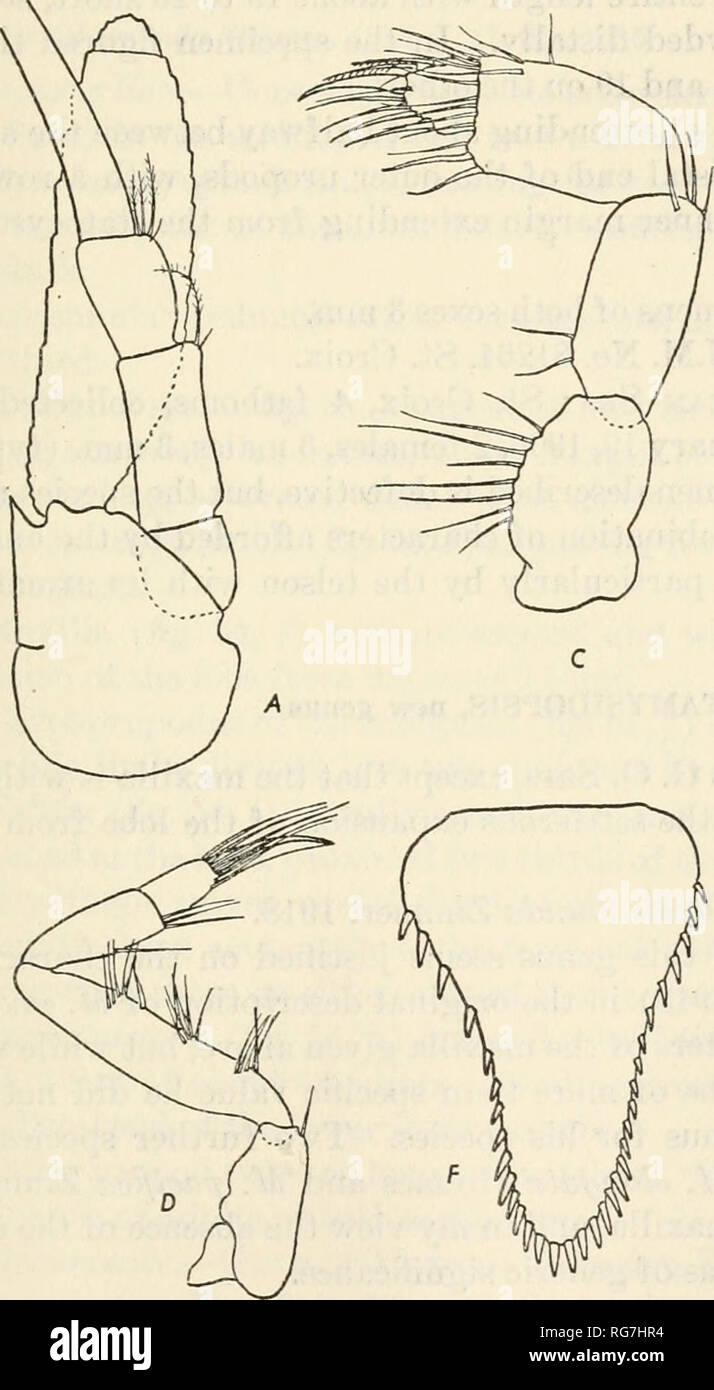 . Bulletin - United States National Museum. Science. A REVIEW OF THE ...